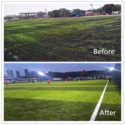China Professional Grade Artificial Soccer Pitch with 8-Year Lifespan and High Density Synthetic Football Turf for sale