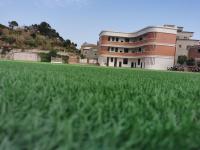 China Professional Grade Artificial Soccer Pitch with 8-Year Lifespan and High Density Synthetic Football Turf for sale