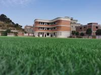 China Professional Grade Artificial Soccer Pitch with 8-Year Lifespan and High Density Synthetic Football Turf for sale