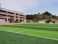 China Professional Grade Artificial Soccer Pitch with 8-Year Lifespan and High Density Synthetic Football Turf for sale