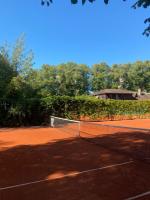 China Regular Rolling And Watering Maintenance Sports Red Clay Clay Engineered To Support And Durability On Athletic Courts for sale