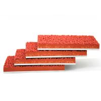 China 10-Year Warranty Advanced Hybrid Plastic Sports Track for Schools and Universities - Wholesale Bulk Orders Available Easy Installation Kit Included for sale