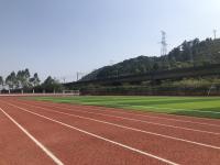 China Customizable Olympic Standard Advanced Hybrid Plastic Sports Track for Stadiums and Arenas - Factory Supplier with Cross-Border Support High-Value Investment for Long-Term Use for sale