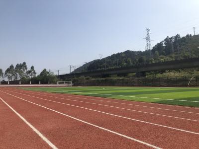 China Customizable Olympic Standard Advanced Hybrid Plastic Sports Track for Stadiums and Arenas - Factory Supplier with Cross-Border Support High-Value Investment for Long-Term Use for sale