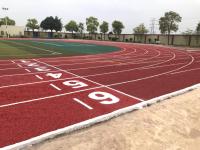 China Performance Enhancing High-Performance Mixed Plastic Running Track for Parks and Community Fields - Best Seller in North America High-Value Investment for Long-Term Use for sale