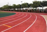 China Performance Enhancing High-Performance Mixed Plastic Running Track for Parks and Community Fields - Best Seller in North America High-Value Investment for Long-Term Use for sale