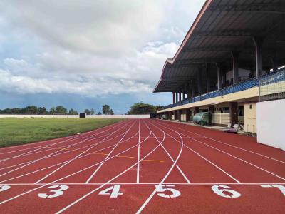 China Premium Sandwich Rubber Running Track for Middle East – Heat & UV Resistant for sale