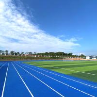 China Professional Sandwich System Running Track for Stadium Construction and Athletic Facilities for sale