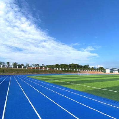 China Professional Sandwich System Running Track for Stadium Construction and Athletic Facilities for sale