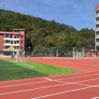 China Durable Sandwich System Running Track with EPDM Top Layer - Factory Direct Supplier for sale