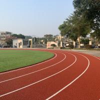 China Professional Shock Absorption Running Track Joint Protection Impact Reducing Athletic Surface for sale