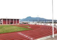 China Custom Color Running Track Turnkey Branding Solution Bespoke Team Design Personalized Surface for sale