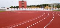 China Custom Color Running Track Turnkey Branding Solution Bespoke Team Design Personalized Surface for sale