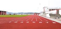 China Custom Color Running Track Turnkey Branding Solution Bespoke Team Design Personalized Surface for sale