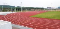 China Custom Color Running Track Turnkey Branding Solution Bespoke Team Design Personalized Surface for sale