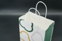 China OEM Twisted Handle Paper Bags Printing Bulk Kraft Bags biodegradable for sale