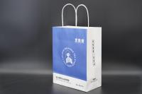 China Premium Custom Paper Gift Bags Recycled Printed Paper Bags With Logo for sale