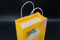 China OEM / ODM Printed Paper Carrier Bags Custom Paper Bags For Business Use for sale