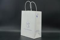 China Versatile Premium Custom Printed Paper Bags Biodegradable With Twisted Handles for sale