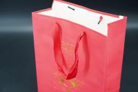 China Reusable Kraft Shopping Paper Bags With Ribbon Handles Printing Design for sale