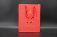 China Reusable Kraft Shopping Paper Bags With Ribbon Handles Printing Design for sale