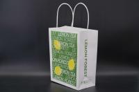 China Sturdy White Paper Carrier Bags Renewable Retail Paper Bags With Handles for sale