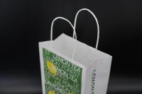 China Sturdy White Paper Carrier Bags Renewable Retail Paper Bags With Handles for sale