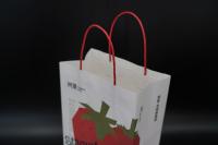 China Discounted Custom Retail Paper Bags White Printing Cardboard Shopping Bags for sale
