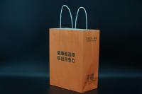 China OEM / ODM Custom Printed Recycled Kraft Paper Bags With Green Twisted Handles for sale