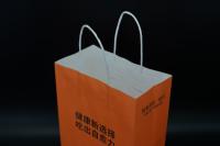 China OEM / ODM Custom Printed Recycled Kraft Paper Bags With Green Twisted Handles for sale