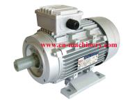 China Y2 Series Electric Motor for Pump and Blower with High Efficiency Energy Saving AC Motor for sale