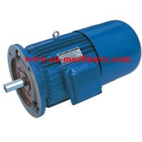 China Auto Parts Motor Three Phase Super High Efficiency AC DC Electric Motor for sale