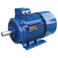 China AC/DC Synchronous Generator Motor for Crane(CE, TUV, SGS)  INVERTER DUTY MOTOR for sale