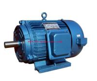 China Generator Motor Ye3 Super High Efficiency Electric Motor construction machinery for sale