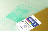 China Low Chemistry Web Offset Printing Negative Working Violet Photopolymer Digital Plate for sale