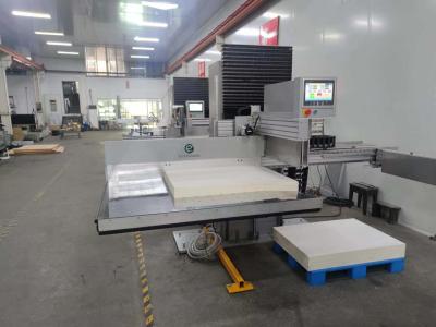 China EcooGraphix LG-2 Automatic Paper Unloader Sheet for sale