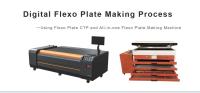 China VLF digital computer to flexo plate imaging system for sale