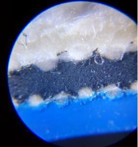 China 3 Ply Fabric 1.7mm Micro Ground Printing Rubber Blanket for sale