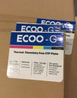 China Chemistry Free Negative Offset Printing CTP Plate 1280mm Width for sale