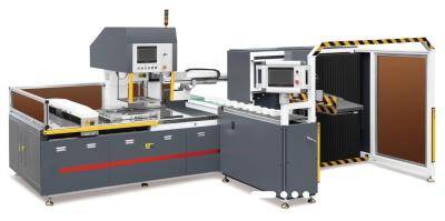 China EcooGraphix 22pcs/Min Automatic Double Guide Stripping Machine For Packaging for sale