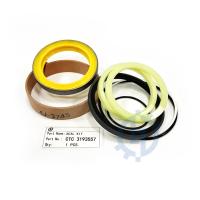 China Hydraulic Cylinder Boom Arm Bucket Rubber CTC 3193557 Seal Kit for Excavator Spare Parts for sale