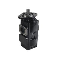 China Construction Work JCB Excavator Parts 20/925586 333/C5234 333/G5392 20/925337 20/925472 7029120048 Hydraulic Gear Pump for sale