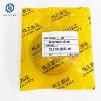 China 7135547 BobCATE 463 Tilt Cylinder Seal Kit for Excavator Hydraulic Breaker Oil Repair Kit for sale