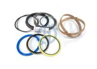China ZX230MF Excavator Bucket Cylinder Seal Kit 9175564 Hitachi Excavator Spare Part for sale