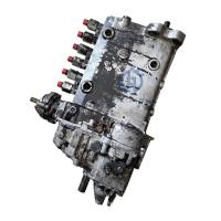 China Diesel Engine Parts 6D102-7 Excavator Diesel Pump Assy 6D102-7 Excavator Oil Pump Assembly Engine Fuel Pump for sale