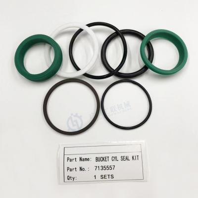 China 7135557 Excavator Seal Kit BobCATEEEEEEE Hydraulic Cylinder Bucket Repair Kits for sale
