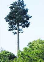 China Bionic Tree for sale