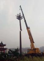 China Bionic Tree for sale