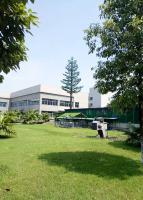 China Bionic Tree for sale