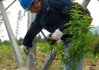 China Maintenance for sale